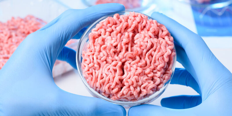 Cellular Agriculture: An Answer to Growing Food Demand? – CIIR